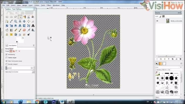How To Make A PNG Transparent With GIMP Vander Host Knowledgebase